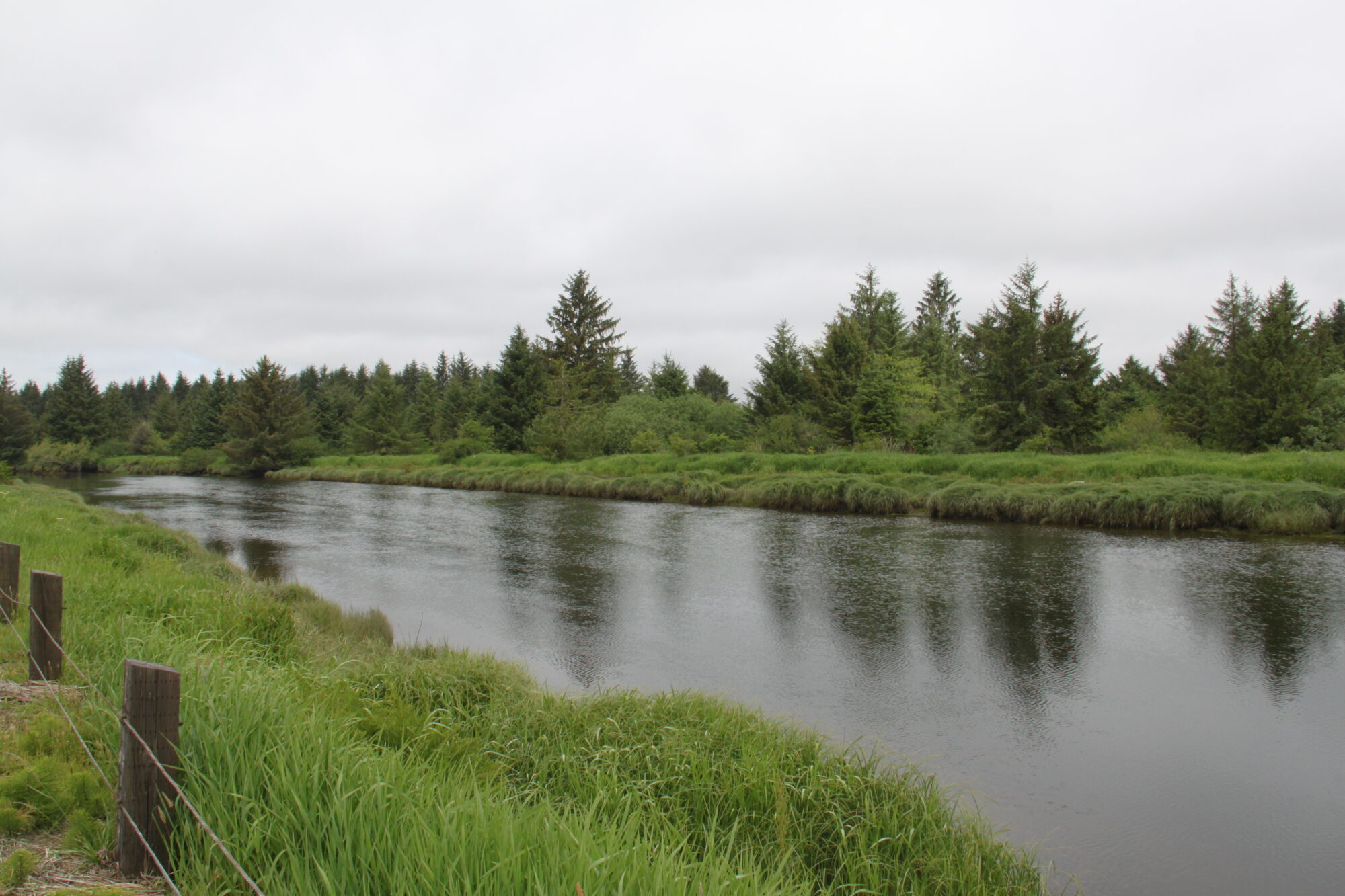 Tillamook River Wetlands - Tillamook Estuaries Partnership