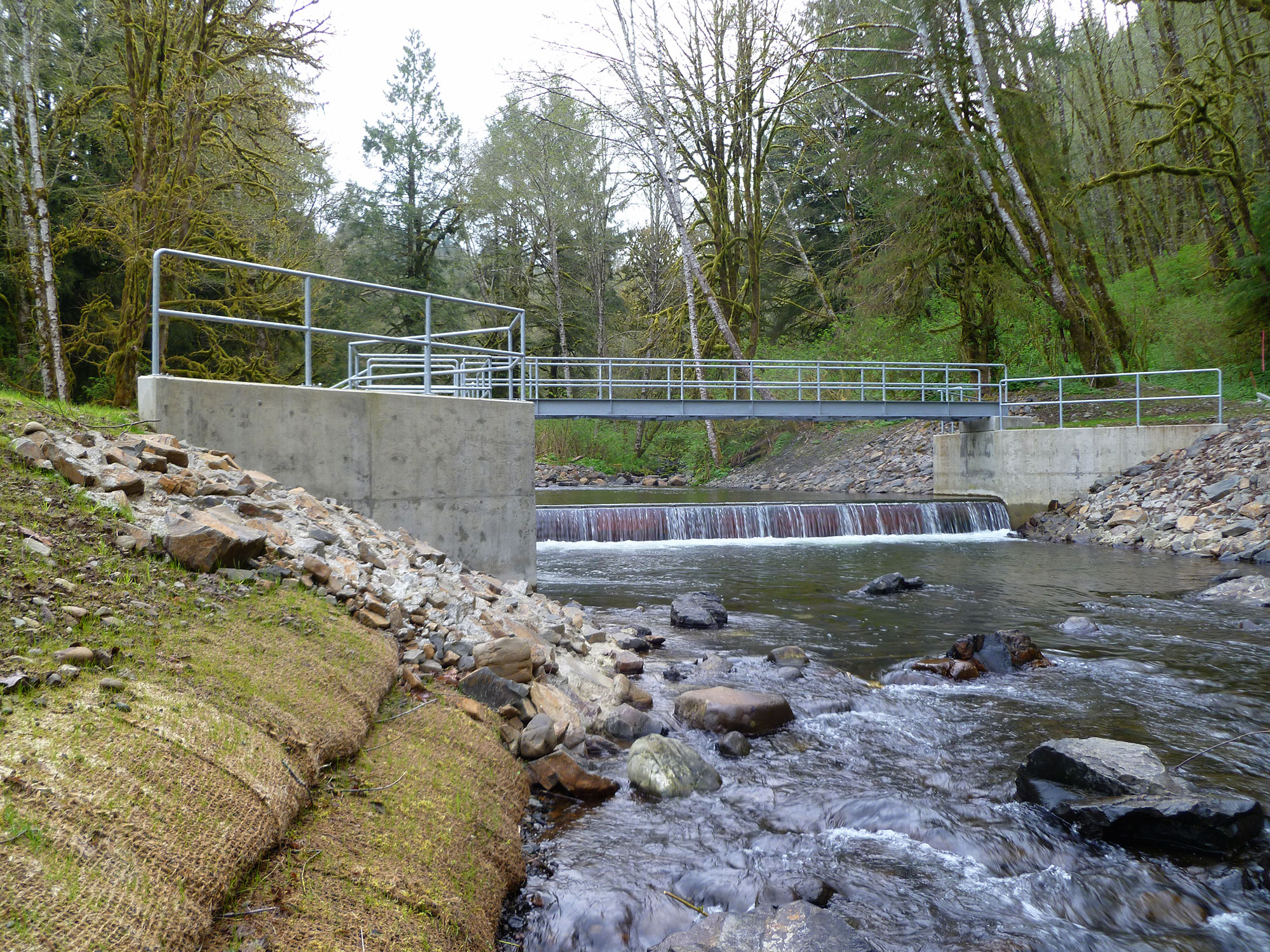 Fawcett Creek Fish Passage and Screening - Tillamook Estuaries Partnership